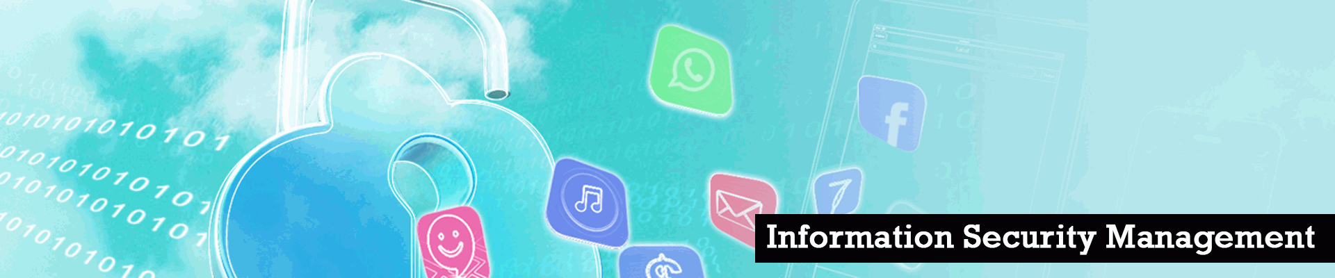 IT Security Audit, Risk Assessment & Security Compliance Services