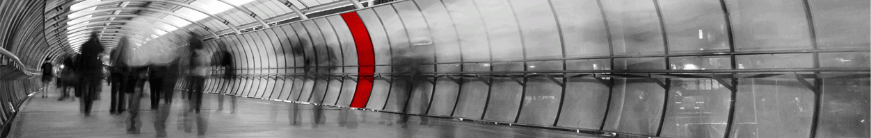 ISO 26000 Social Responsibility Training Certification in Delhi,NCR by Codec Networks.