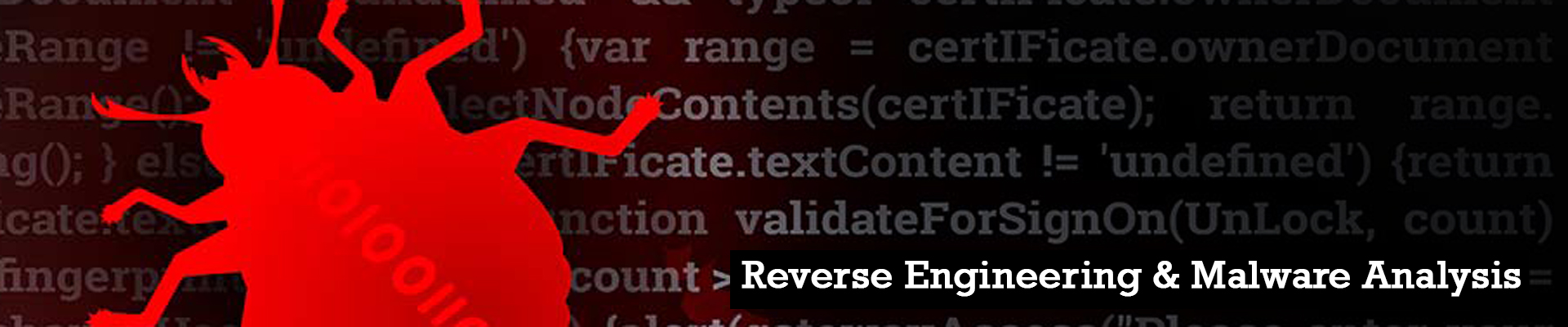 Reverse Engineering And Malware Analysis Training