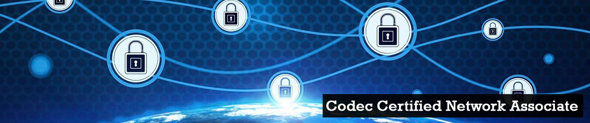 CISCO CCNA Routing & Switching Training Certification in India