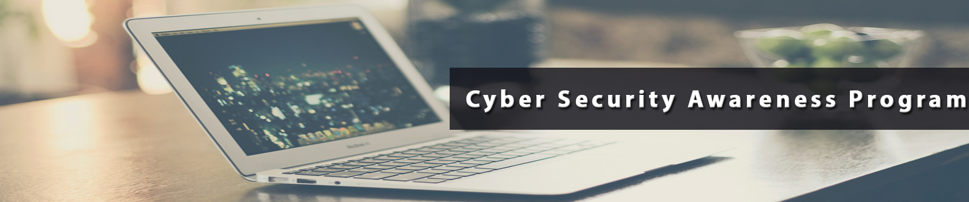 Cyber Security Awareness Program Training in India